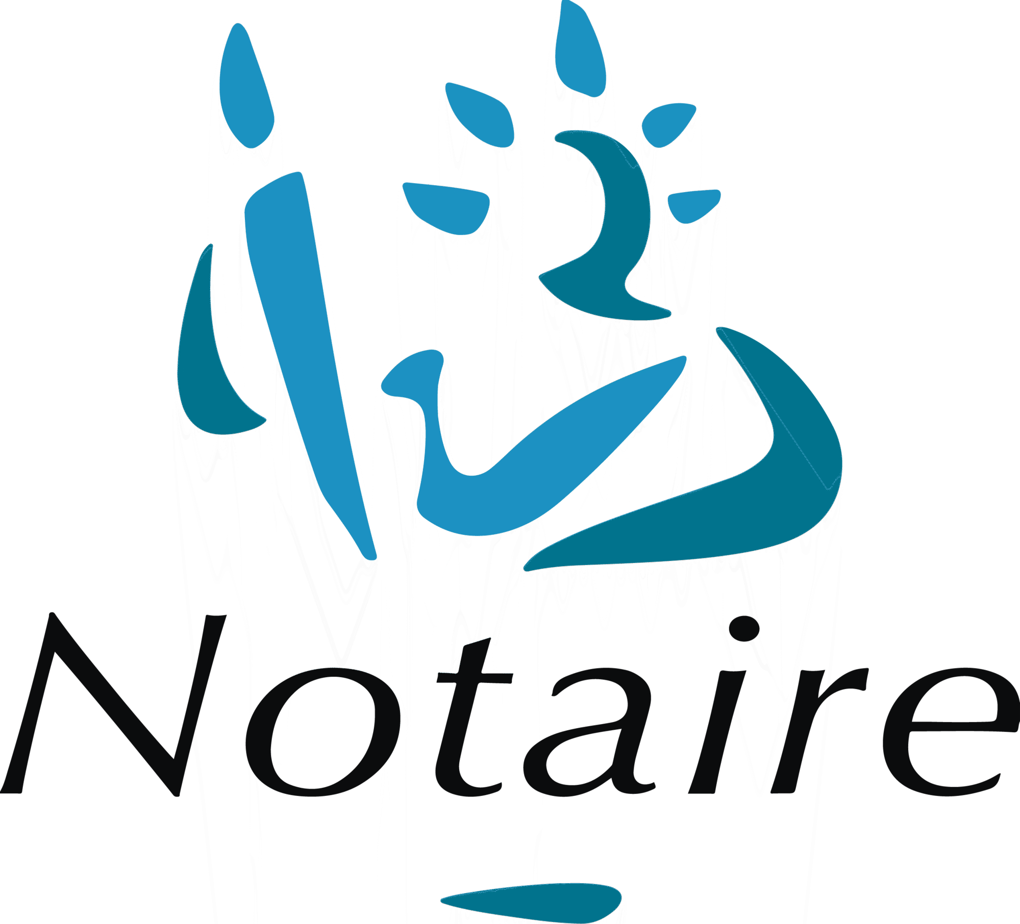 Notaire à Lille - DE SOUSA Estelle